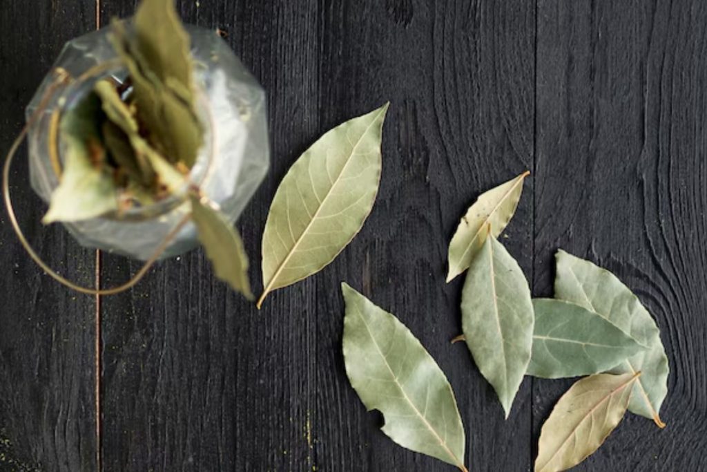 Descubra quais são os 4 benefícios do chá de folha de louro com cravo ...